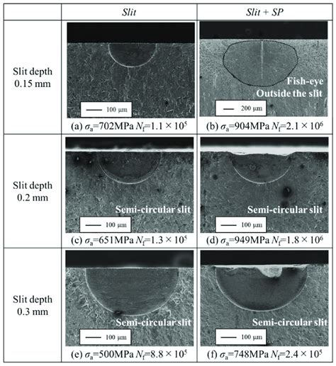 Fracture Surface Observation Results Of Slit Specimens Fracture