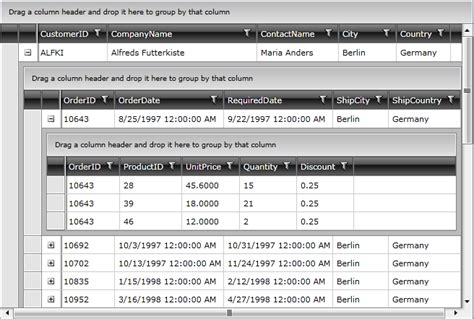Hierarchy Load On Demand With Radgridview For Silverlight M
