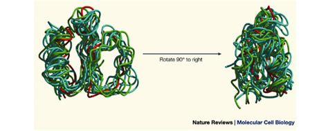 An Overlay Of Transition State Structures From Independent Unfolding Download Scientific