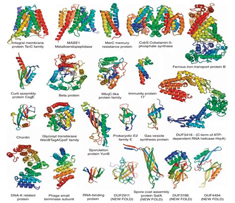 Protein Structure Determination Using Metagenome Sequence Data