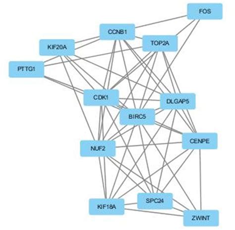 The Protein Protein Interaction Ppi Network Of Degs Using Molecular Download Scientific