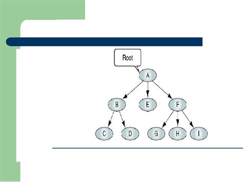 Lecture Basics And Types Of Trees