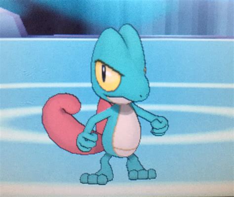 Shiny Treecko After 420 Eggs Pokémon Amino