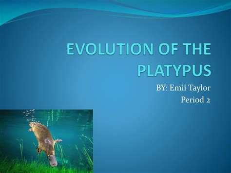 Ppt Evolution Of The Platypus Powerpoint Presentation Free Download