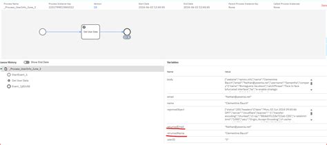 Simple Rest Connector With Input And Output Parameters Camunda 8