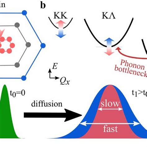 Strain Dependent Exciton Diffusion Biaxial Strain Implies A Lattice Download Scientific