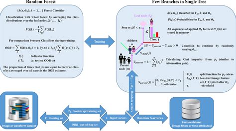 Schematic Diagram Of The Principle Behind Rf Classifier For Pattern And Download Scientific