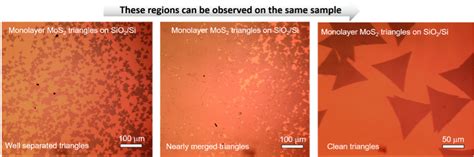 Mos2 Monolayer Triangles On Sio2 Si 2d Semiconductors Usa