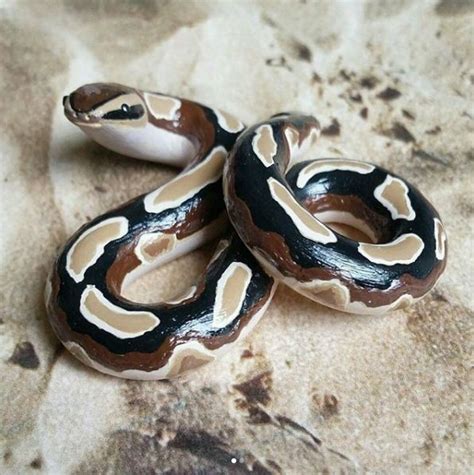 Replica Ball Python Handmade Polymer Clay Reptile Figurine Crafted