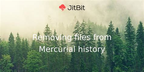 Removing Files From Mercurial History