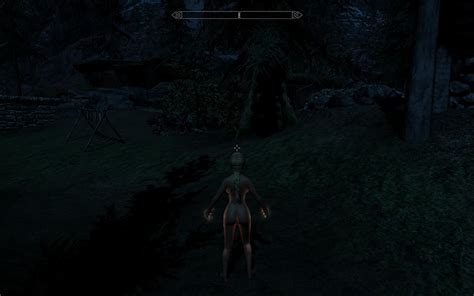 Player Freeze Technical Support SexLab Framework LoversLab