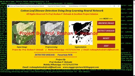 Cotton Leaf Disease Detection Using Deep Learning Neural Network Python