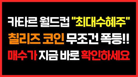 칠리즈 폭등 예고합니다 카타르 월드컵 최대 수혜주 목표가 빠르게 확인하세요 Youtube