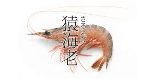 さかなや魚介類図鑑ブログ