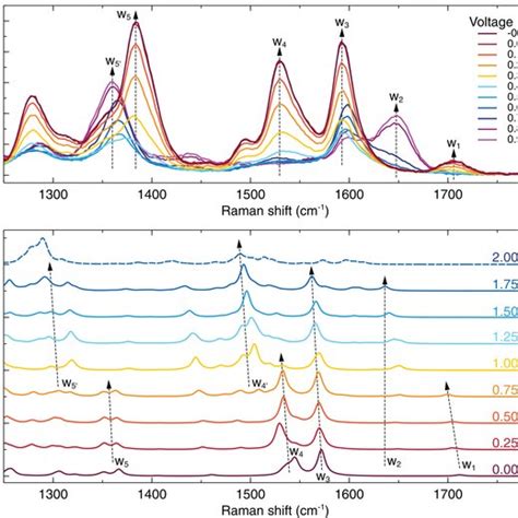 Voltage Dependent In Situ EPR Spectroscopy A EPR Spectra B EPR Spin Download Scientific