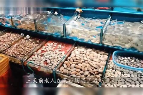 大妈被它扎了一下手指，入院三天后身亡这东西你也爱吃