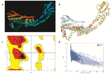 Tertiary Structure Modelling Refining And Validation A The Final