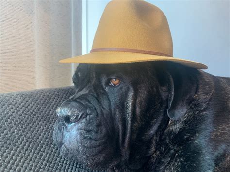 Deploying A Localhost Server With Nodejs And Expressjs By Matt Brice Javascript In Plain