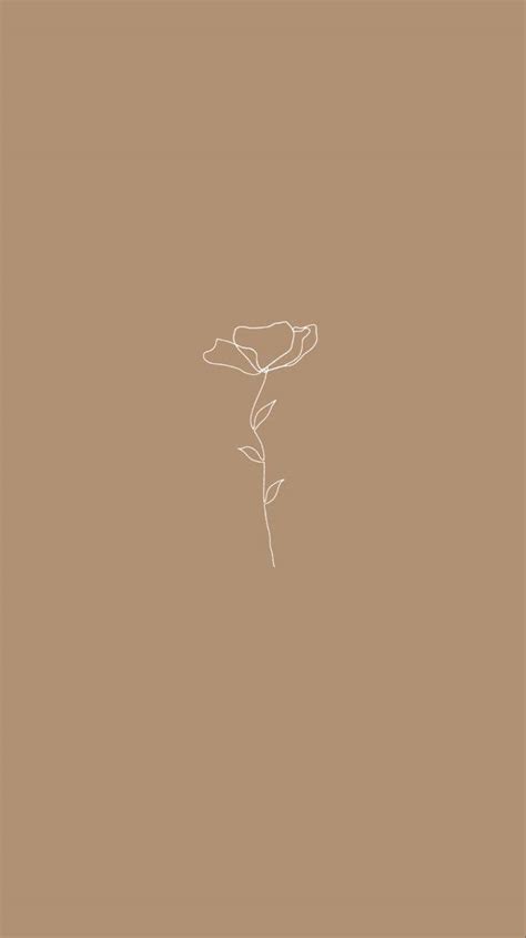 400 Beige Aesthetic Backgrounds