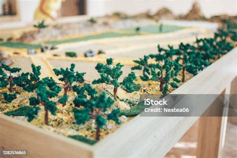 학교 교육에서 학생들의 초기 군사 훈련 군사 활동의 전략 계획 학생들을위한 게임의 형태로 군사 행동 계획 아이에 대한 스톡 사진 및 기타 이미지 Istock