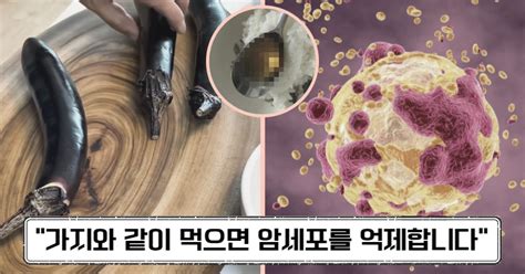 가지를 더 이상 멀리하면 안됩니다 이미 80 이상의 억제효과가 있음을 밝혔습니다