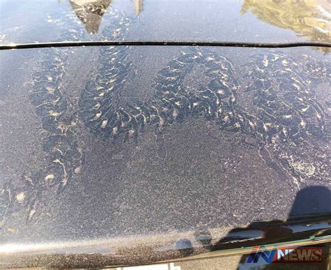 รอยพญานาควันปีใหม่ต้อนรับสู่ปีมะโรง พบรอยพาดเต็มรถเชื่อมาให้โชคลาภ