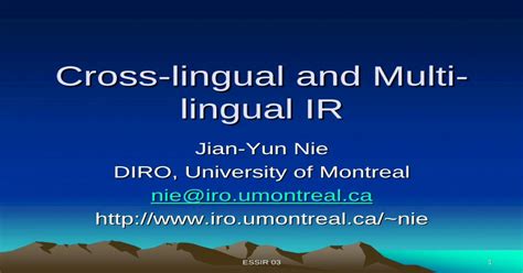 Pdf Cross Lingual And Multi Lingual Ir Dokumentips