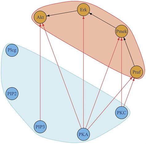 consensus intracellular signaling network as benchmark four nodes in