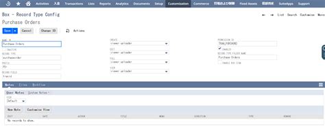 box for netsuite subtab is not shown at netsuite after configuration