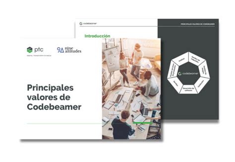 Ebook Principales Valores De Codebeamer 9altitudes