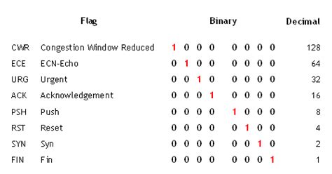 Information Security Diary Netflow Records TCP Flags Explained