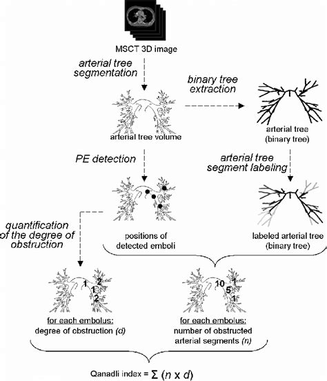 required steps to automate quantification of pe based on the qanadli