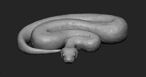 🐍 Ball Pythons 3d Print Model・ 3d File For ・cults