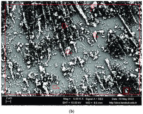 A Microstructure Sem Images And B Eds Analysis Of Shape Memory Alloy Download Scientific
