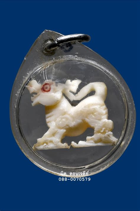 สิงห์ ขนาด1 2 ซ ม หลวงพ่อมุ่ย วัดดอนไร่ สุพรรณบุรี อมูเลท Suphanburi Amulet ร้านพระ ร้าน