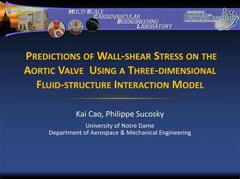 Pdf Predictions Of Wall Shear Stress On The Aortic Valve Leaflets Using A Three Dimensional