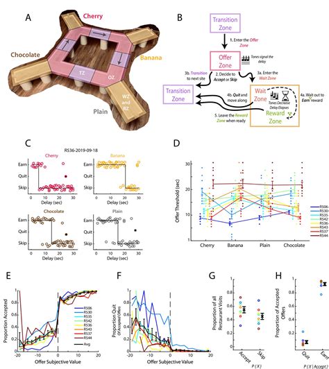 Figures And Data In Differential Processing Of Decision Information In Subregions Of Rodent