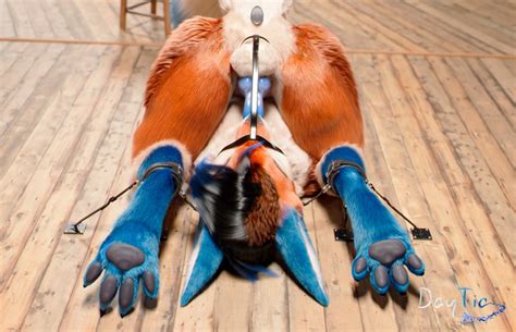 Rule 34 3d Artwork Animal Genitalia Animal Penis Anthro