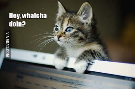 Hey Whatcha Doin 9gag