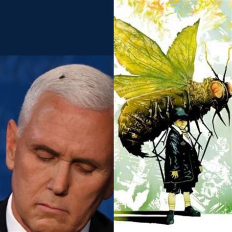 Los Mejores Memes De La Mosca Que Se Posó En El Pelo De Mike Pence