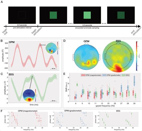 Steady State Visual Evoked Potential A Visual Rendition Of One Trial Download Scientific