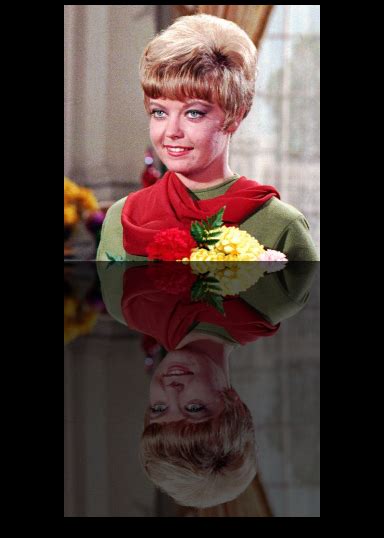 How To Create A Simple Reflection Using Imagemagick With Dynamic Image Sizing Stack Overflow