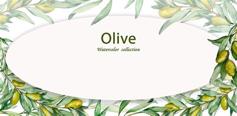 타원형 프레임 과일 잎 와 수채화 올리브 나뭇가지 흰색 배경입니다 화장품 주방 및 가정용 섬유 초대장 카페 메뉴 식기 문구 명함의 포장 디자인 건강한 식생활에 대한 스톡