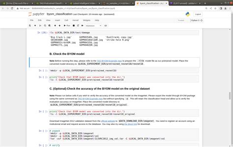 Tao Byom Example Repo Link In Byomclassification Is Broken Tao Toolkit Nvidia Developer Forums