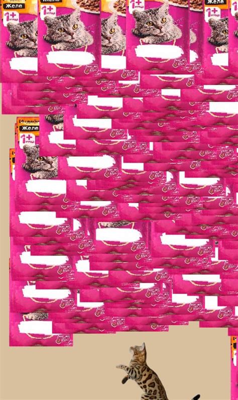 What I Did Wrong How Do I Gdevelop Forum