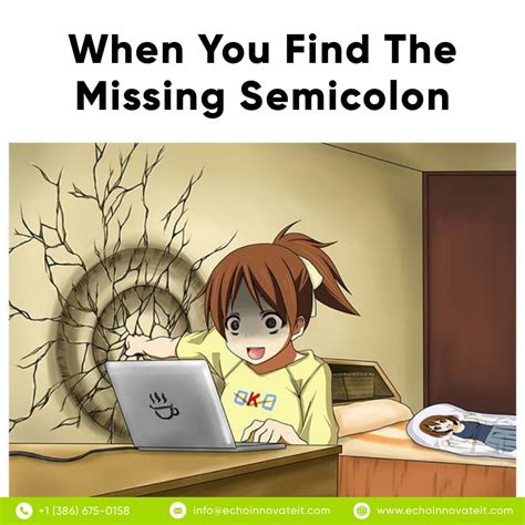 Echoinnovate It App Development Company On Linkedin Mobileappdevelopmentcompany