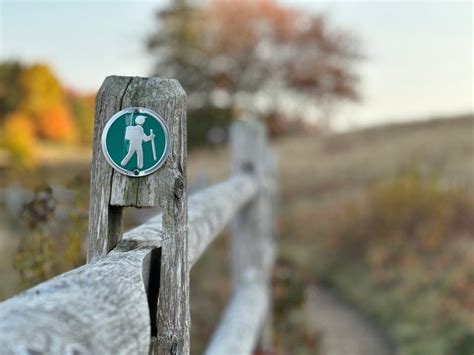 Are You Leveraging Oracle Eloqua Guided Campaigns To Enhance Your Marketing Efforts