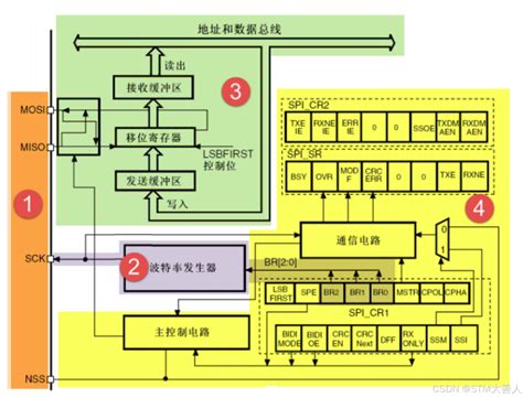 stm32关于lcd液晶显示（spi教程篇） stm32 spi lcd csdn博客