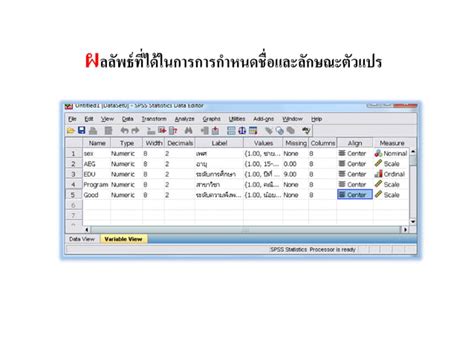 การสร้างแฟ้มข้อมูลจากแบบสอบถามโดยโปรแกรม Spss Pptx