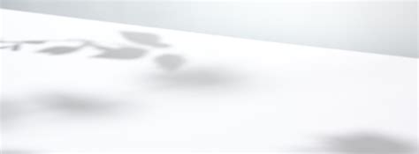 나뭇 가지의 가혹한 그림자가있는 밝은 배경 빈 장소가있는 미적 흰색 배경 여름 조명 배경 자연과 그림자가 조롱합니다 간단한 모형 그림자가있는 포스터 프리젠 테이션 0명에